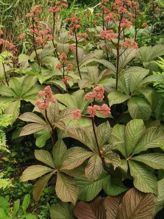 Secrets to Creating a Personal Garden Sanctuary