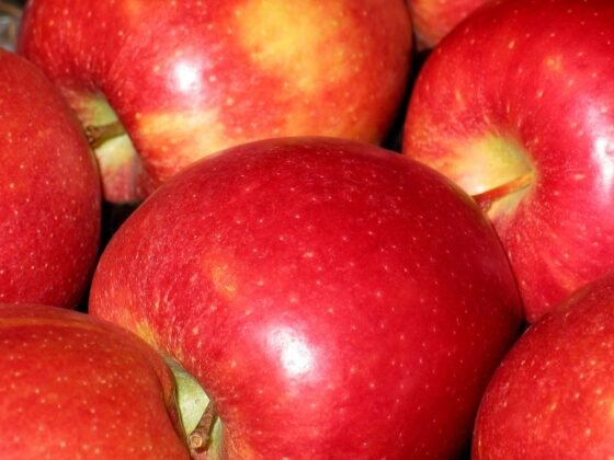 All About Apples: A Poster Child for The Harvest Season